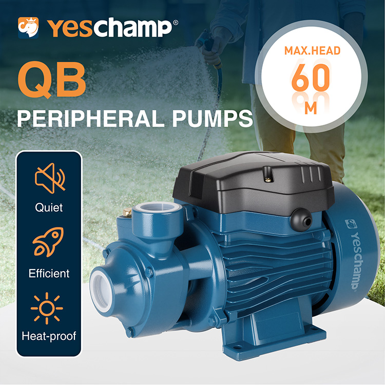 Electric Horizontal Vortex Pump with Brass Impeller Copper Wire for ...