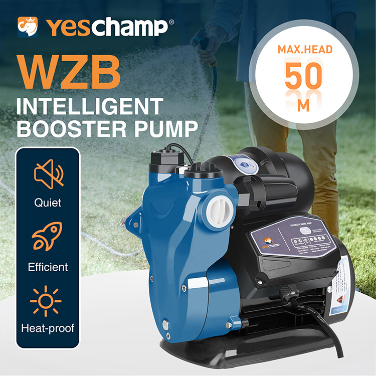 Domestic Self-Priming Water Pump for Irrigation Centrifugal Premium Quality